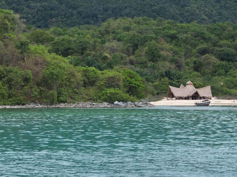 Explore Mahale Mountain National Park: A Hidden Gem in Tanzania